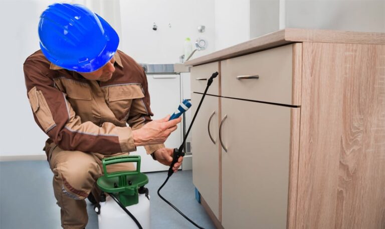 Pest Control in Toronto, Ontario: Professional Services - Ontario Pest ...